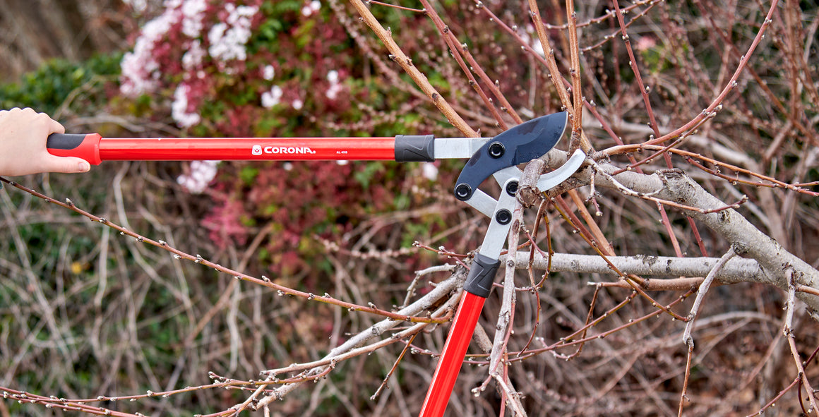 Shop Hand and Gardening Tools | Corona® Tools | Corona Tools