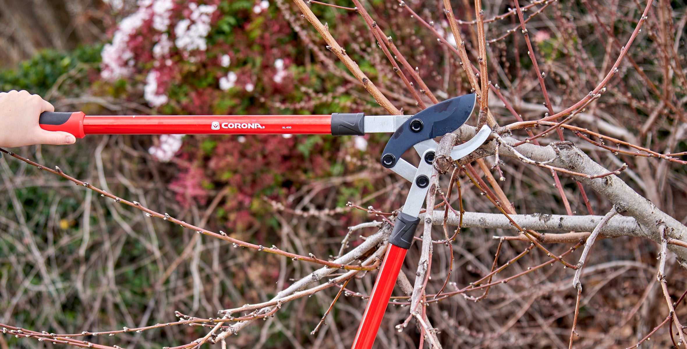 Shop Hand and Gardening Tools | Corona® Tools | Corona Tools