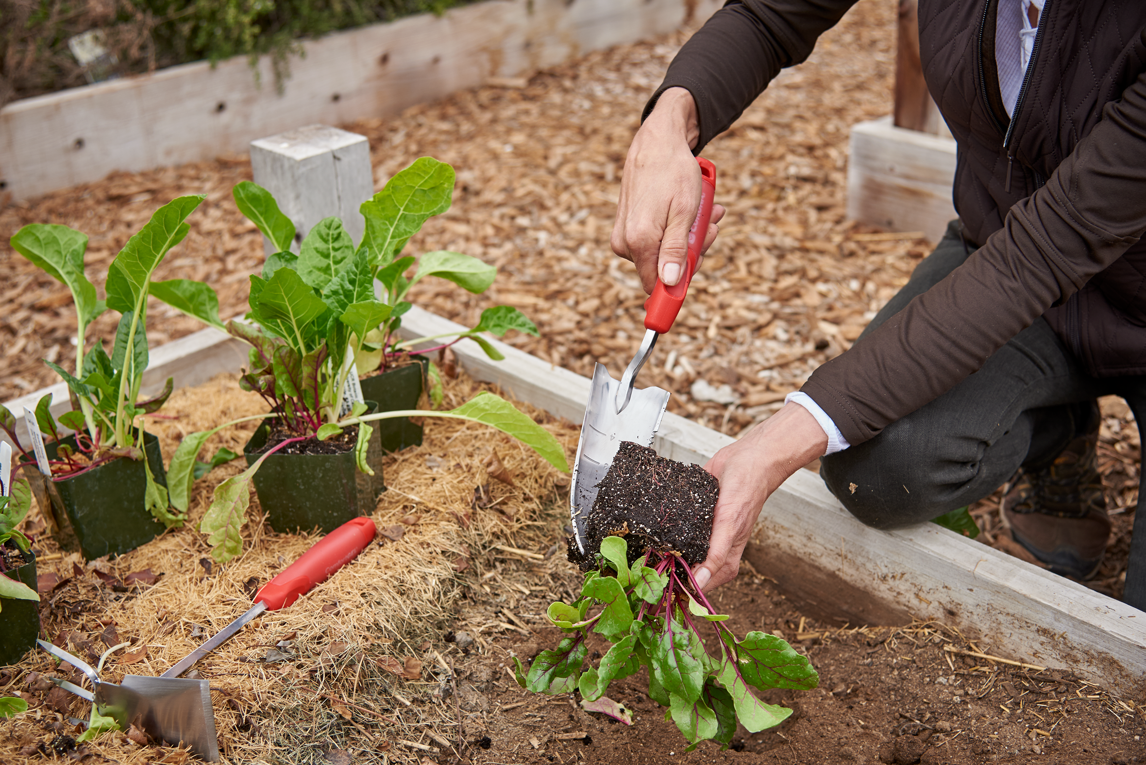 Gardening Tools Group | Corona Clipper Inc.