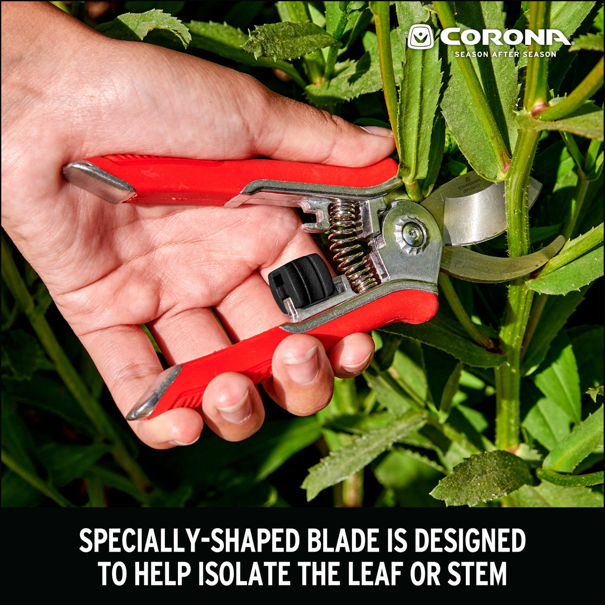Yard Essentials Houseplant Pruners, Red | Corona Clipper Inc.