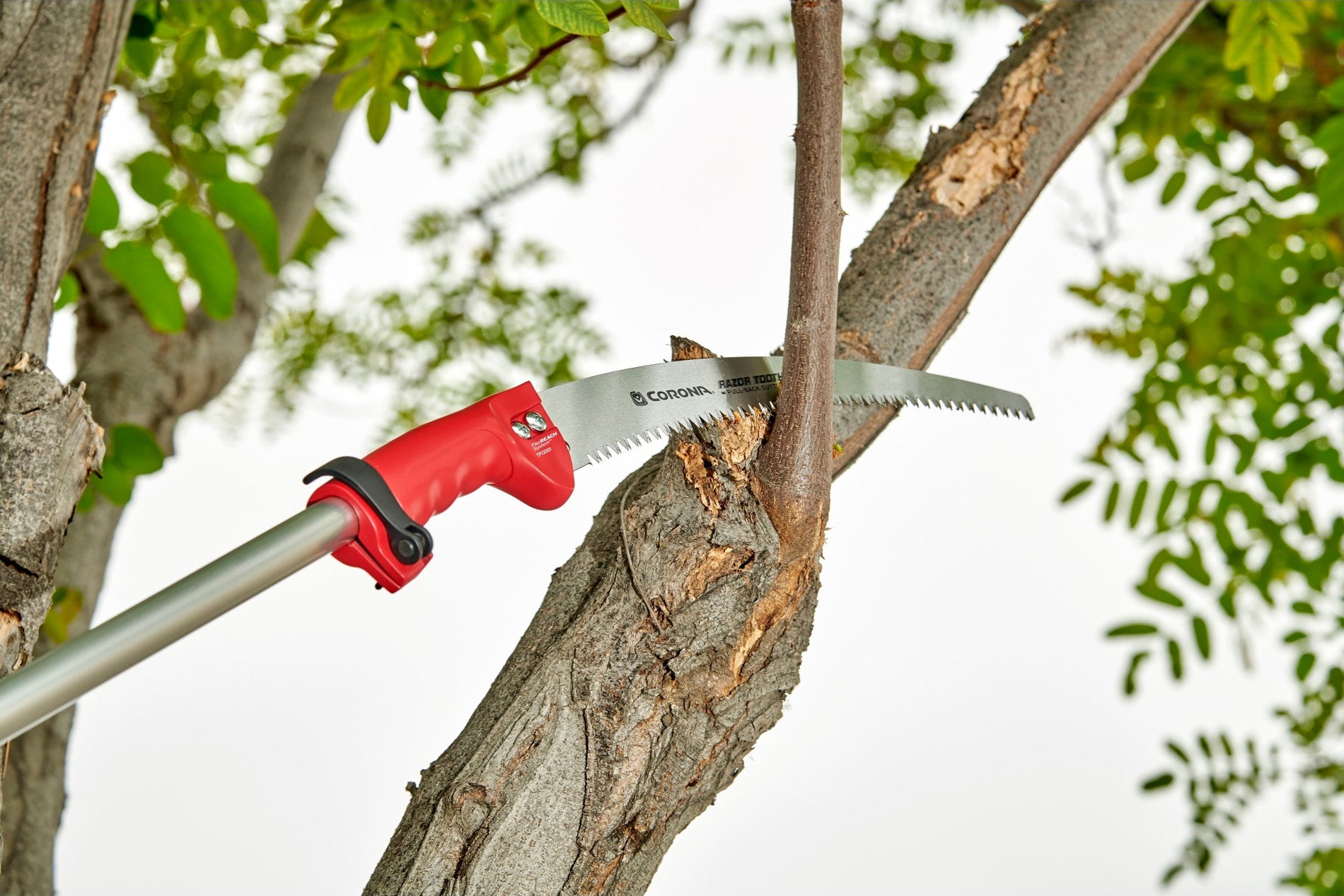 Shop Hand and Gardening Tools | Corona Tools | Corona Clipper Inc.